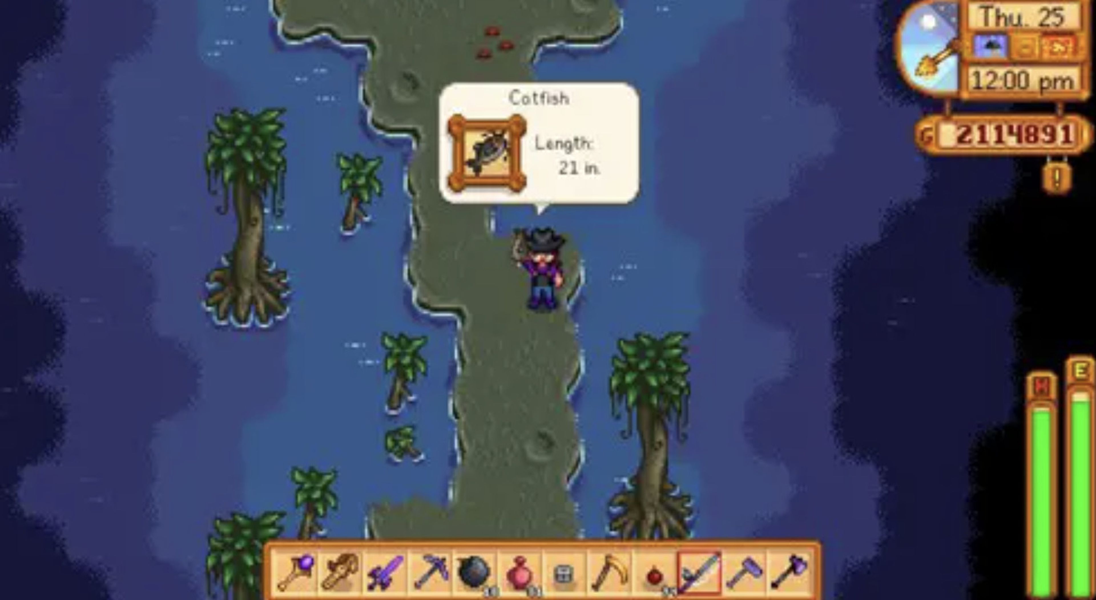 Where To Catch Catfish In Stardew Valley | Shockbyte