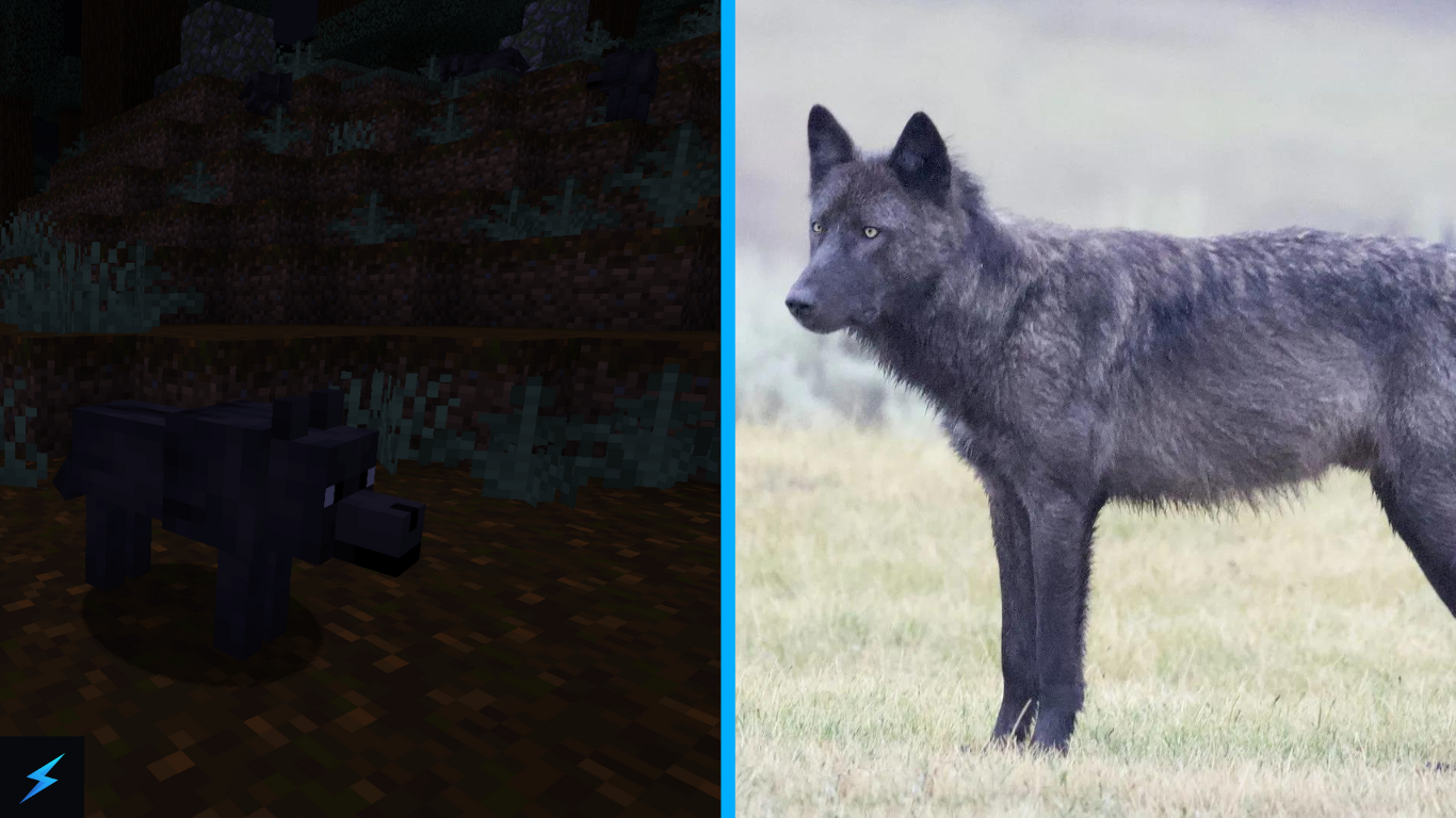 Every New Wolf In Minecraft 1.21 | Shockbyte