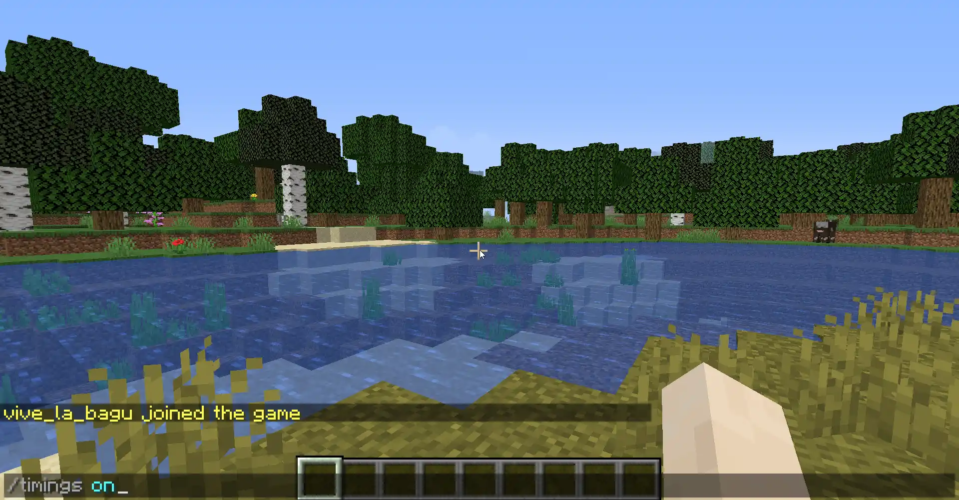 How To Take A Timings Report On Your Minecraft Server Shockbyte 